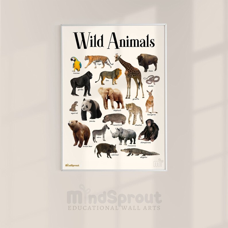 Educational Wall Art Montessori Chart Wild Animal Poster Home Decor for ...