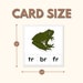 CONSONANT BLENDS Beginning & Ending Sound Montessori Language Blue ...
