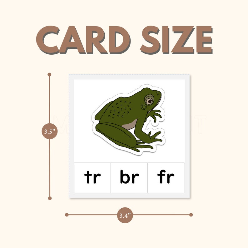 CONSONANT BLENDS Beginning & Ending Sound Montessori Language Blue ...