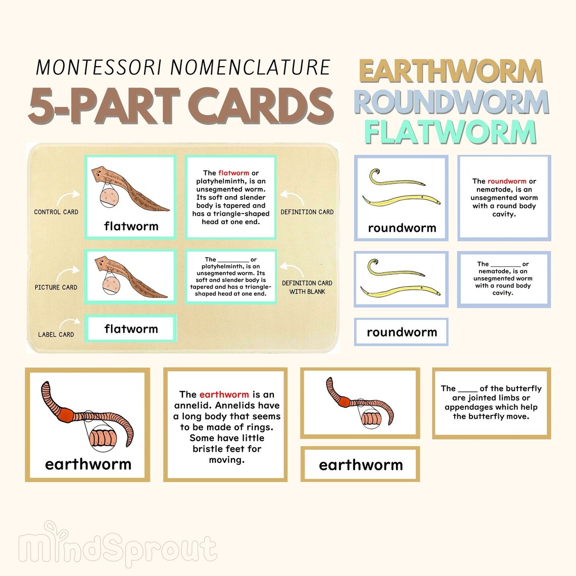 WORMS Zoology Unit Study Parts of Earthworm Flatworm Roundworm ...