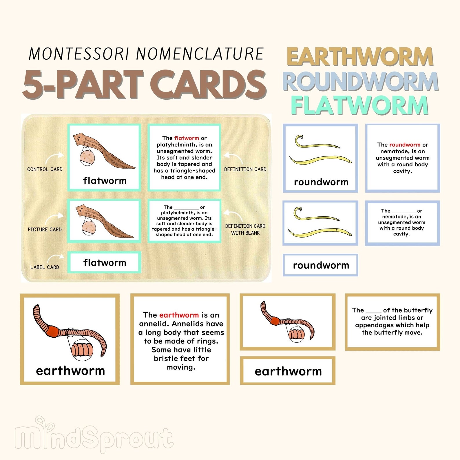 WORMS Zoology Unit Study Parts of Earthworm Flatworm Roundworm ...