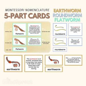 WORMS Zoology Unit Study Parts of Earthworm Flatworm Roundworm ...