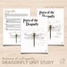 DRAGONFLY Unit Study Bundle Preschool Activities Life Cycle of ...