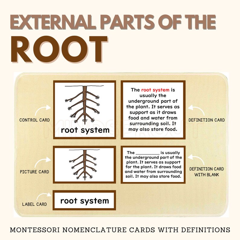 Parts of the ROOTS Montessori Botany Tree Root Unit Study 5-part Card ...
