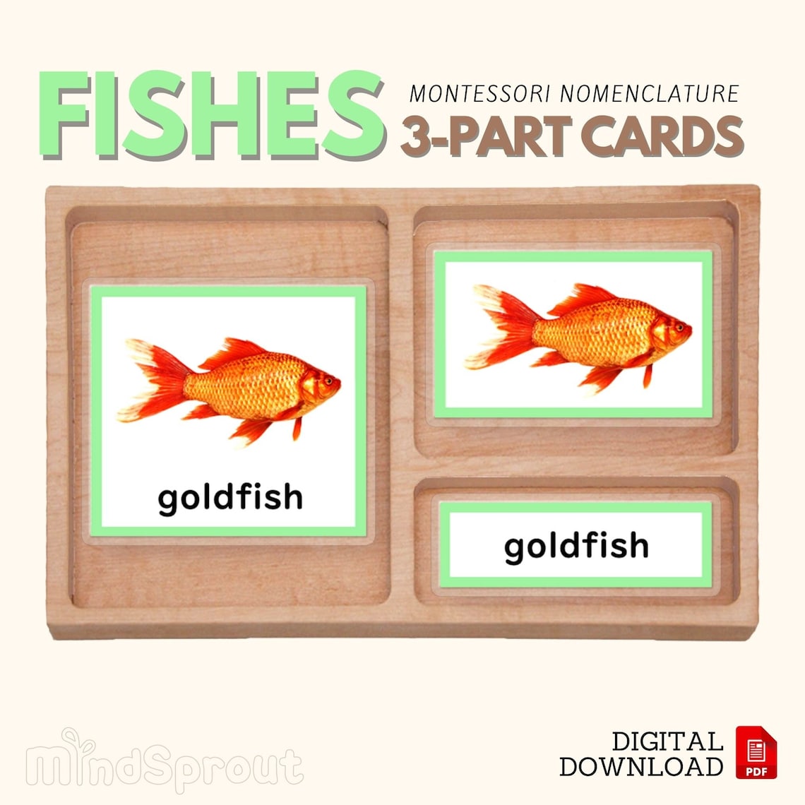 FISH Unit Study Three Part Card Montessori Nomenclature 3-part ...