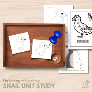 PUFFIN Unit Study (for 3-9) Preschool Activities Animal Fact File ...
