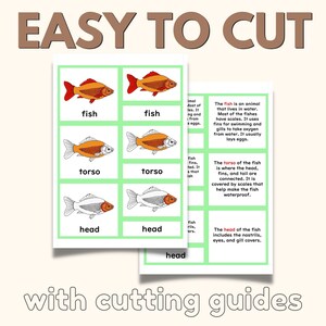 FISH Zoology Unit Study Parts of Fishes Montessori - Etsy