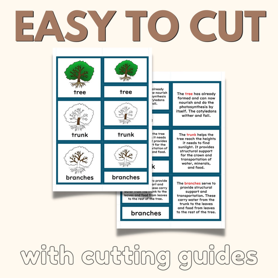 Parts of the TREE Montessori Botany Unit Study 5-part Card Definition ...