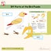 DIY Parts of the Bird Puzzle Zoology Montessori Printable Material - Etsy