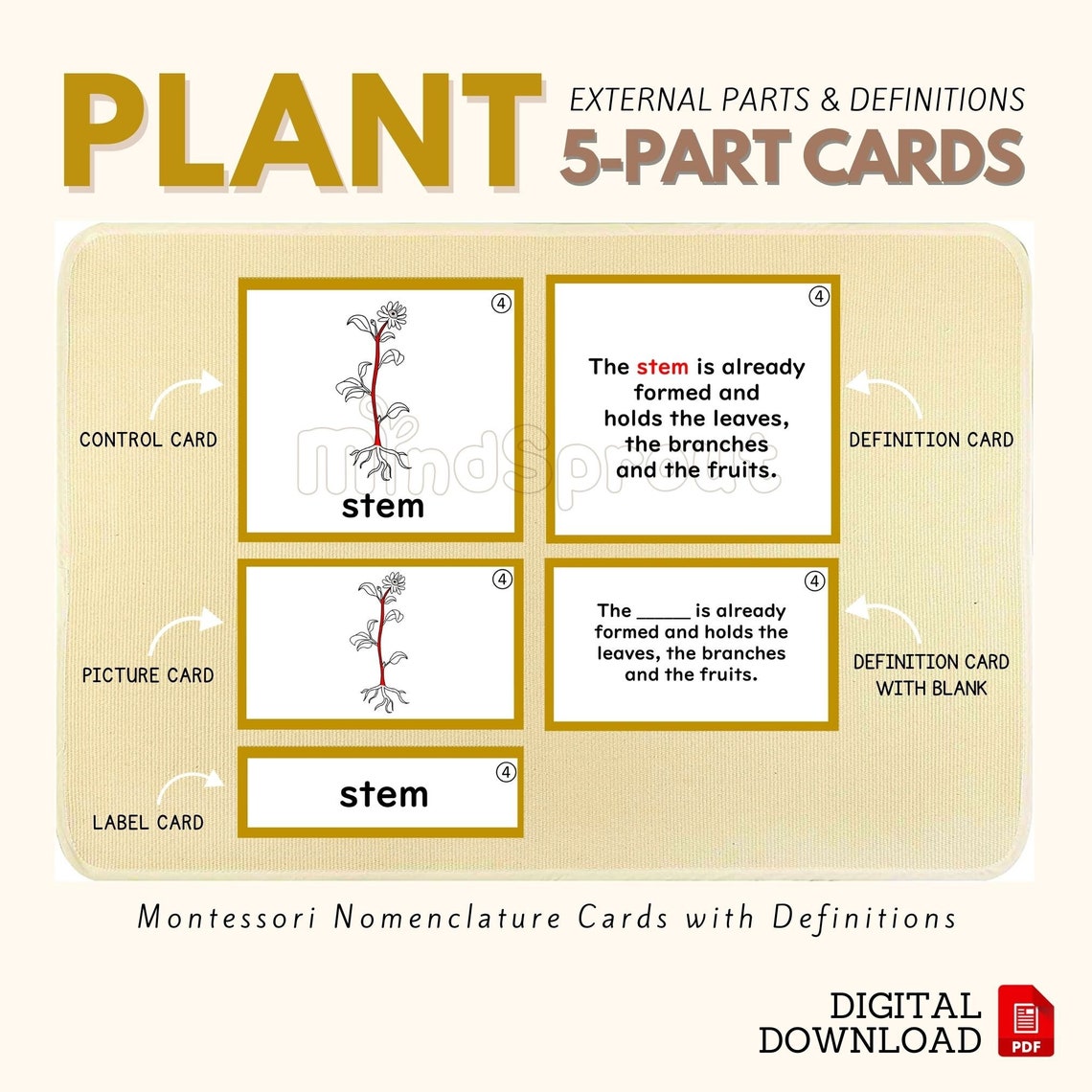 Plant LIFE CYCLE Parts of Seed & Plant Montessori Botany Unit Study 5 ...