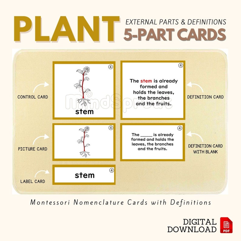 Plant LIFE CYCLE Parts of Seed & Plant Montessori Botany Unit Study 5 ...