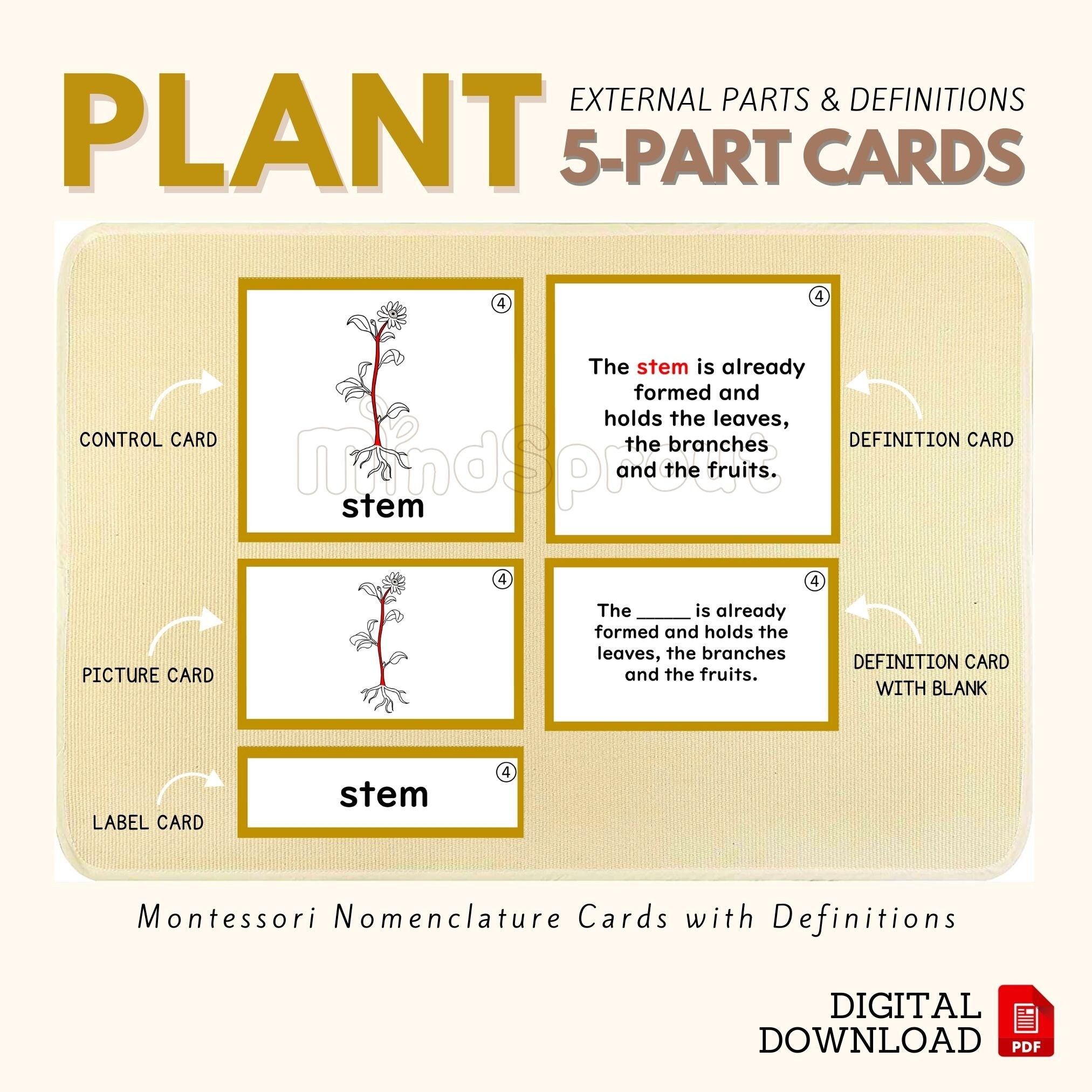 Plant LIFE CYCLE Parts of Seed & Plant Montessori Botany Unit Study 5 ...