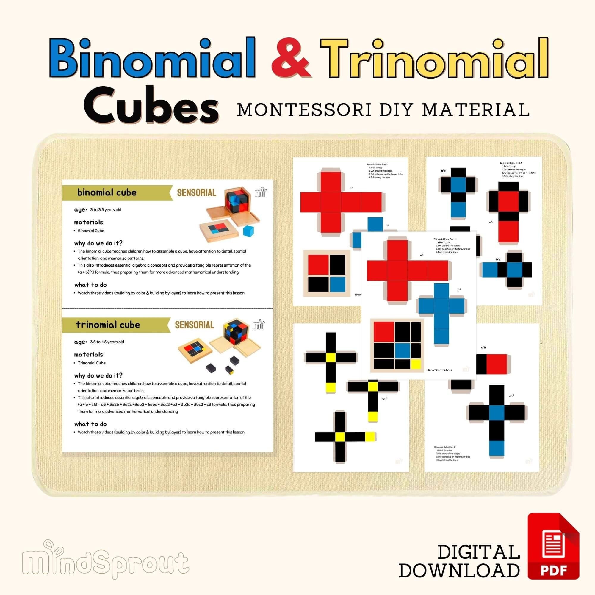DIY Binomial Cube & Trinomial Cube Montessori Sensorial Material DIY ...