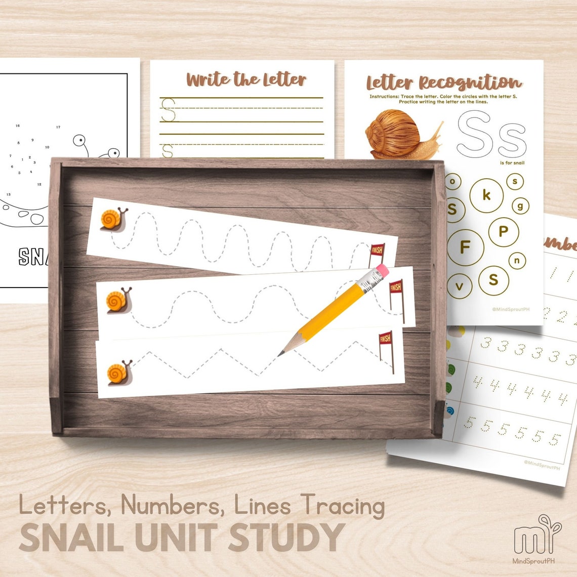 Snail Unit Study Preschool Activities Bundle Counting Clip Cards ...