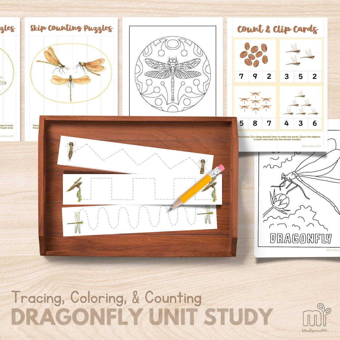 DRAGONFLY Unit Study Bundle Preschool Activities Life Cycle of ...
