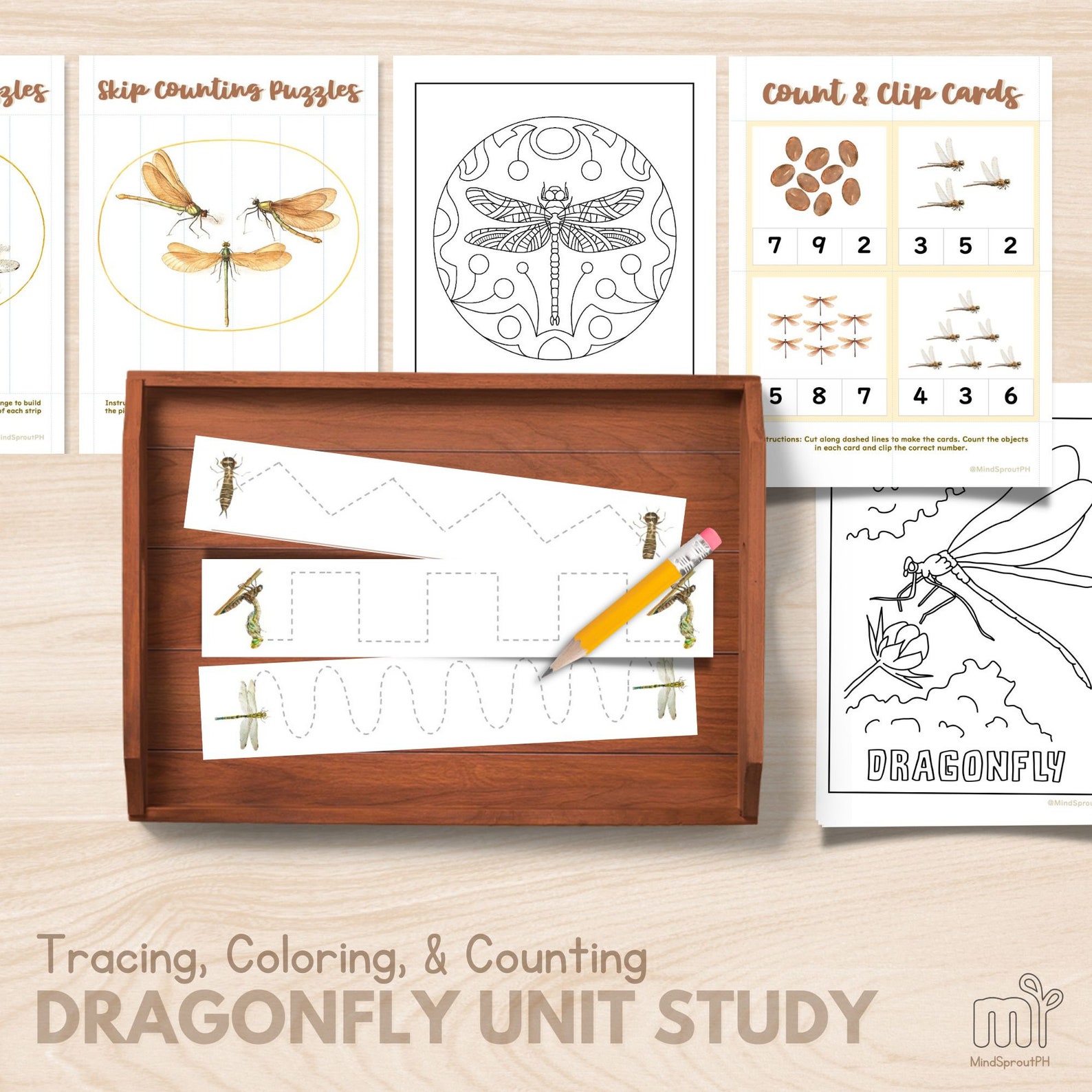 DRAGONFLY Unit Study Bundle Preschool Activities Life Cycle of ...