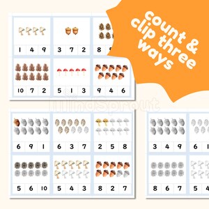 Preschool Activity Counting Cards Activity Winter Woodland Animal ...