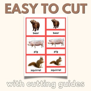 MAMMALS Three Part Cards Montessori Nomenclature 3-part Classified ...