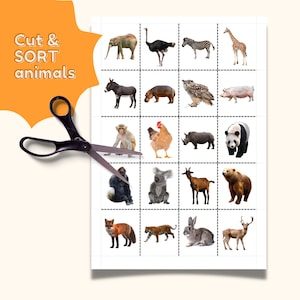 FARM & WILD ANIMALS Cutting Strips Sorting Mini Cards Scissors Cutting ...