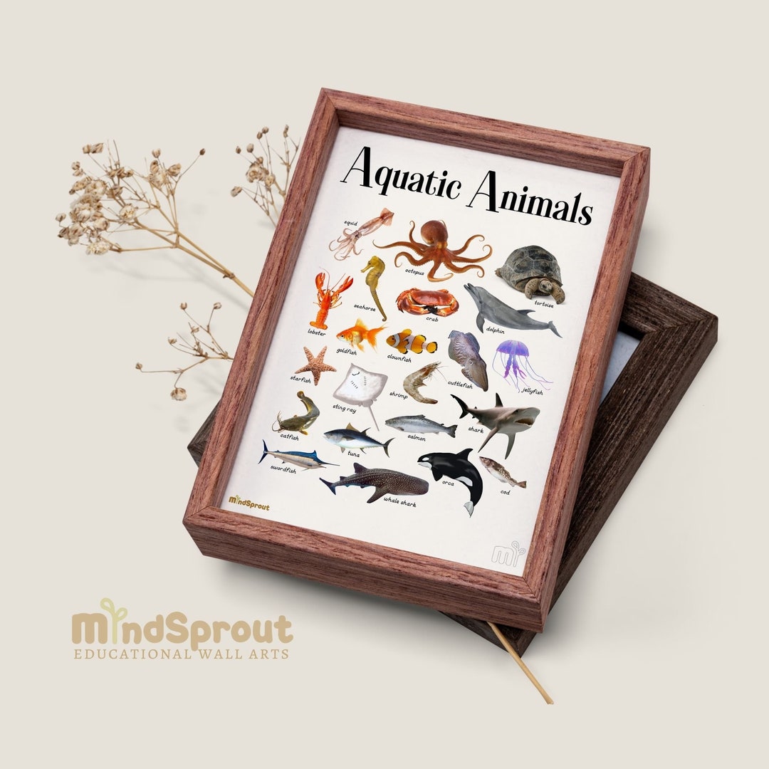 Educational Wall Art Montessori Chart Ocean Animal Poster Home Decor ...