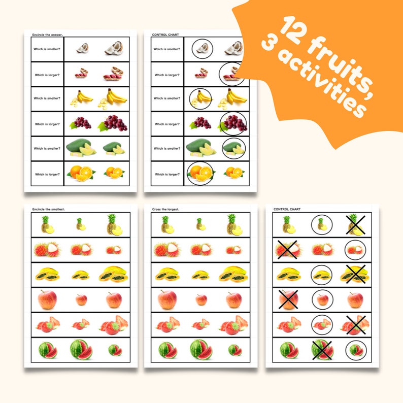 Comparing Small Medium Large Size Sorting Fruits Montessori Sensorial ...