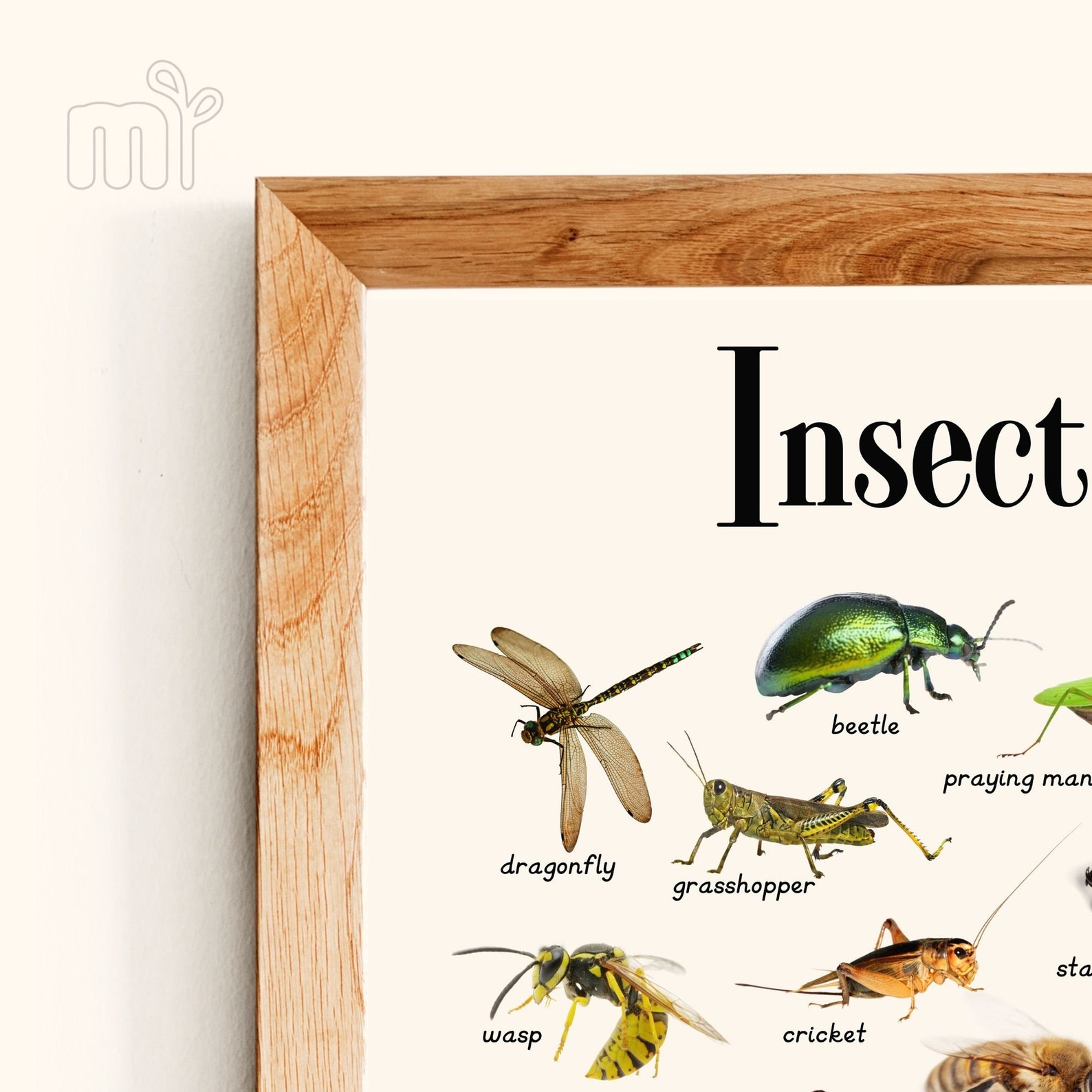 Educational Wall Art Montessori Chart Insects Poster Home Decor for ...