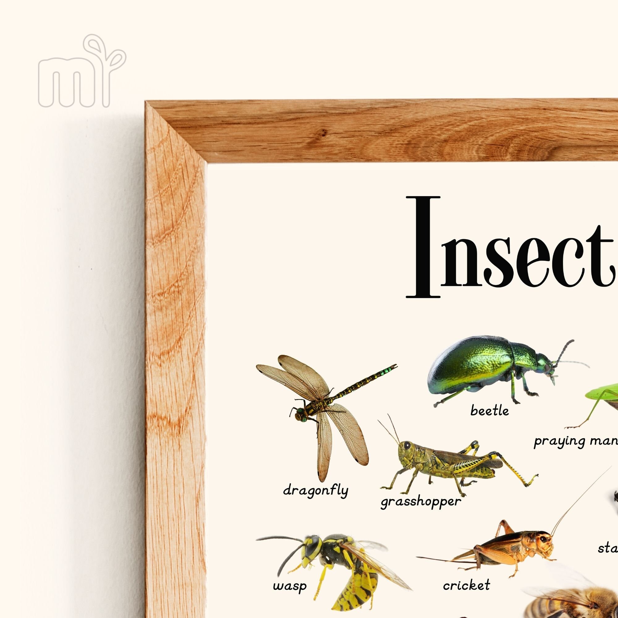 Educational Wall Art Montessori Chart Insects Poster Home Decor for ...