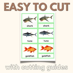 FISH Unit Study Three Part Card Montessori Nomenclature 3-part ...