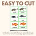 FISH Unit Study Three Part Card Montessori Nomenclature 3-part ...