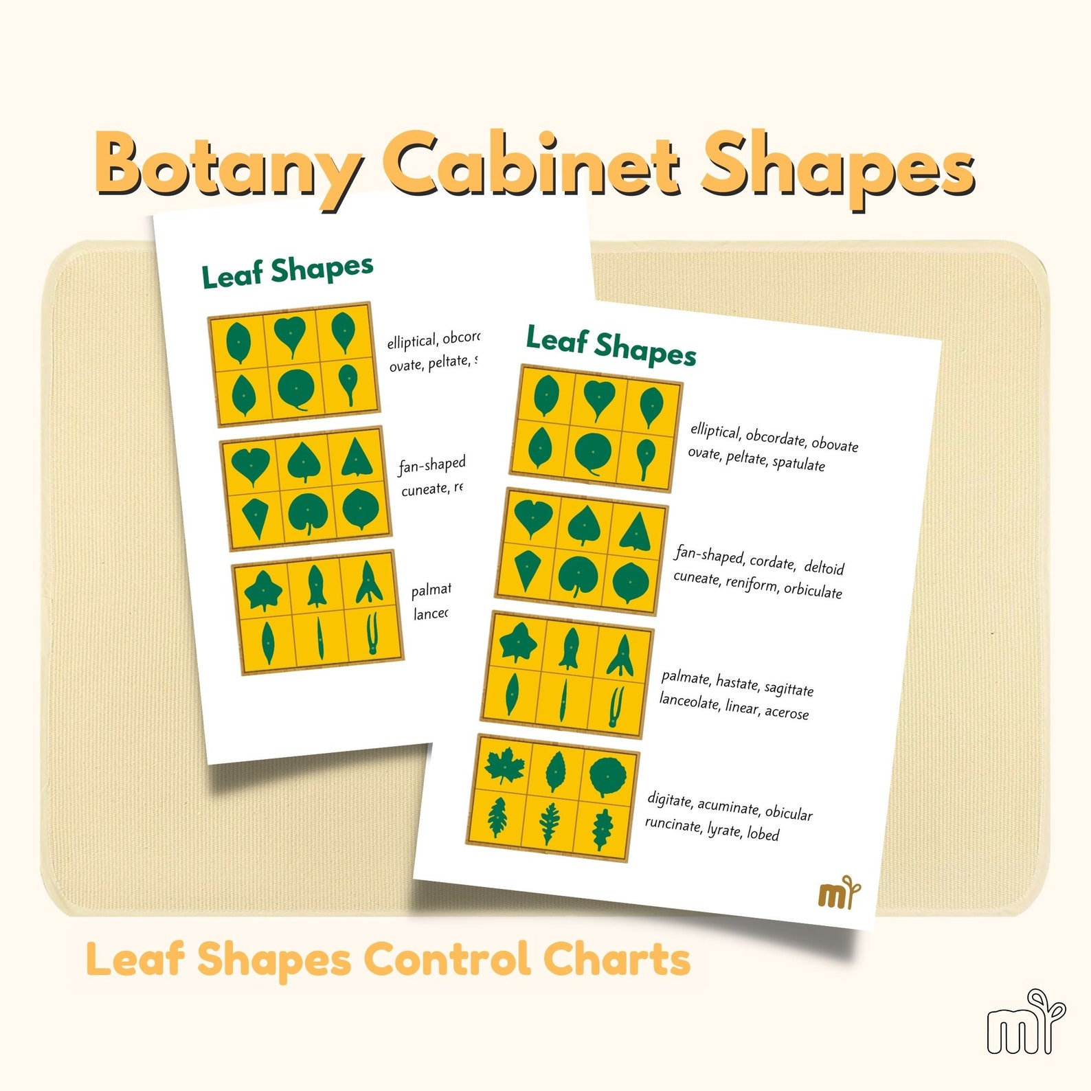 Botany Cabinet Shapes Montessori Botany Puzzle Cards Montessori Leaf ...
