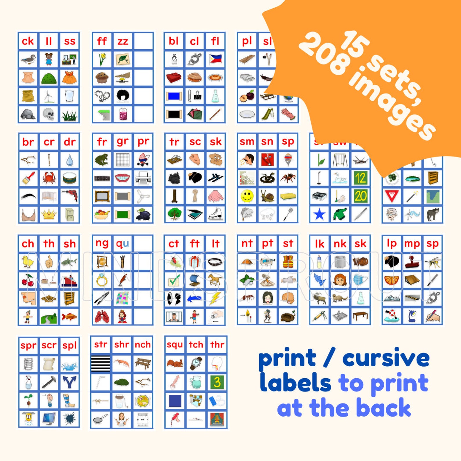 BLUE Series Montessori Language Digraphs Blends CCVC Word Picture Card ...