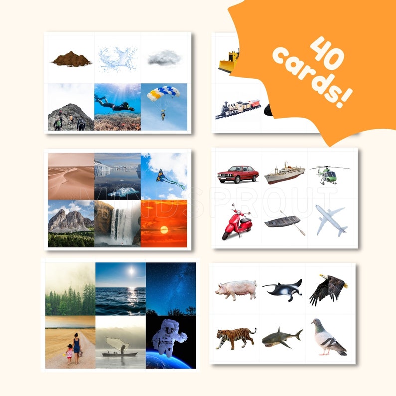 Land Water Air Classification Sorting Activity 40 Places - Etsy