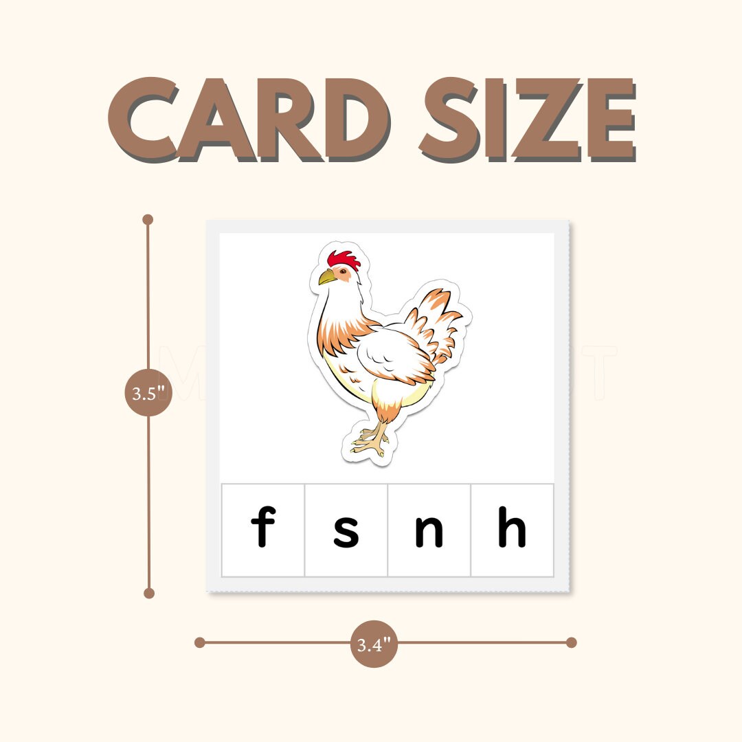 Kindergarten CVC Words Beginning and Ending Sounds Montessori Language ...