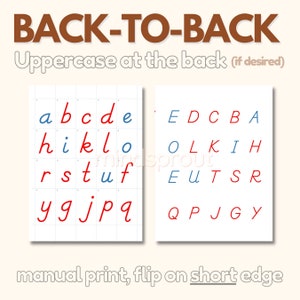 DNEALIAN Small Movable Alphabet Letter Montessori Language Material ...