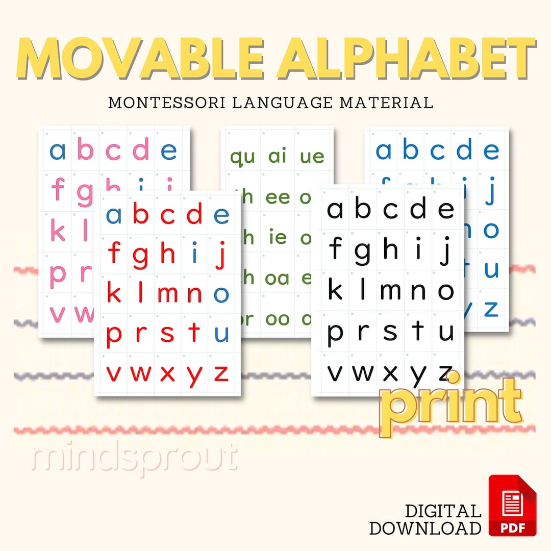 PRINT Small Movable Alphabet Letter Montessori Language Material ...