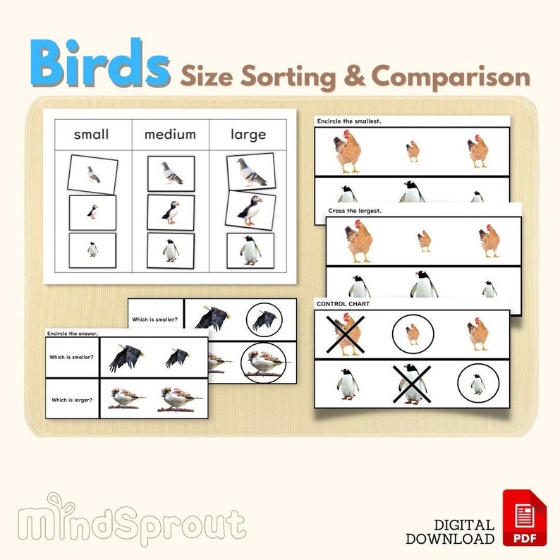 Small Medium Large Size Sorting Activity Montessori Sensorial ...