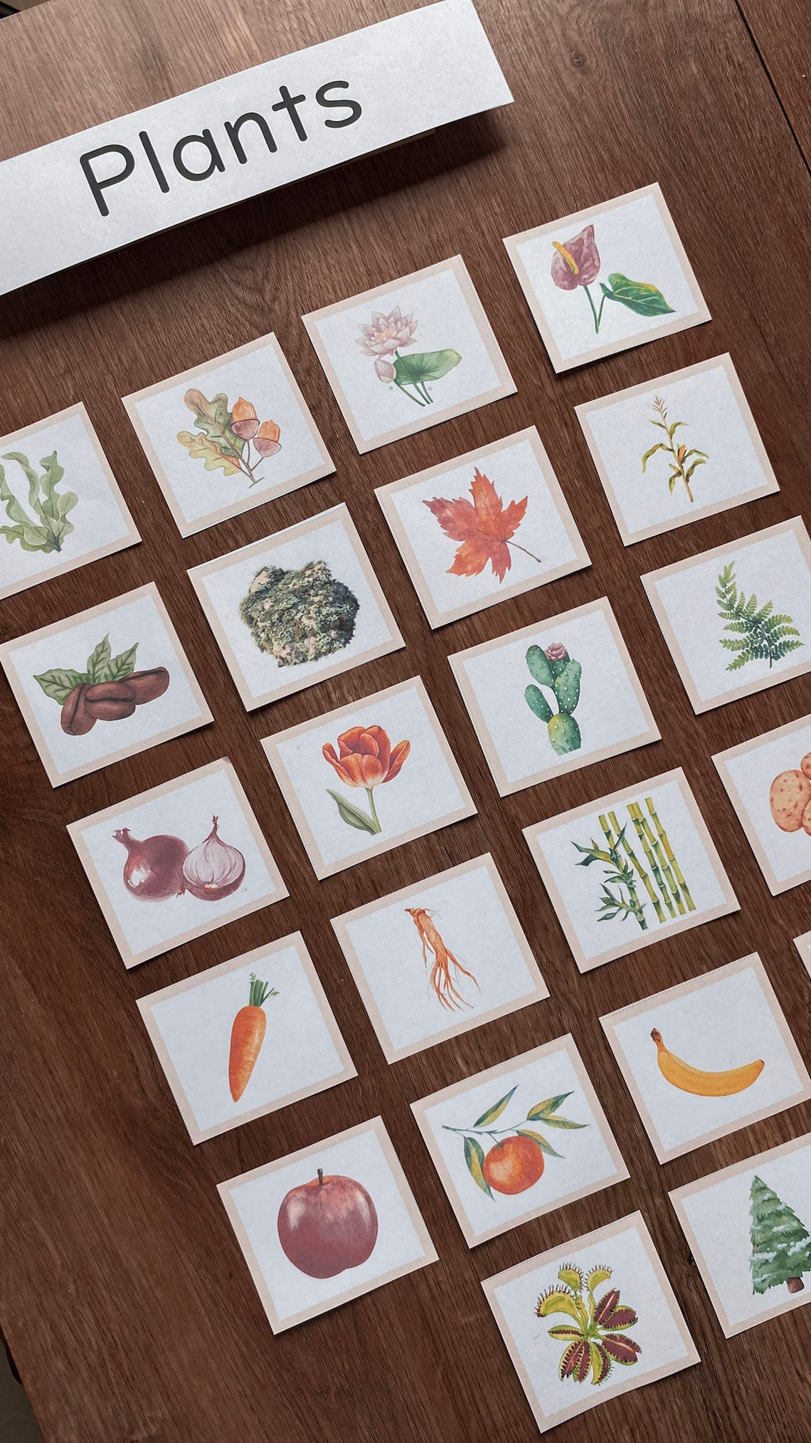 PLANT and ANIMAL Sorting Cards Game Montessori Activity Preschool ...