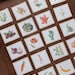 PLANT and ANIMAL Sorting Cards Game Montessori Activity Preschool ...