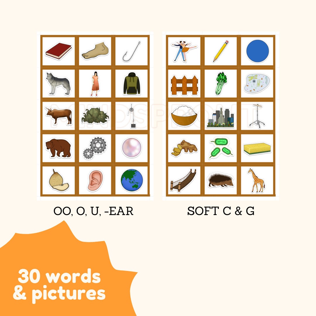 Montessori Language Picture Cards for Object Box Reading Level 9 BROWN ...