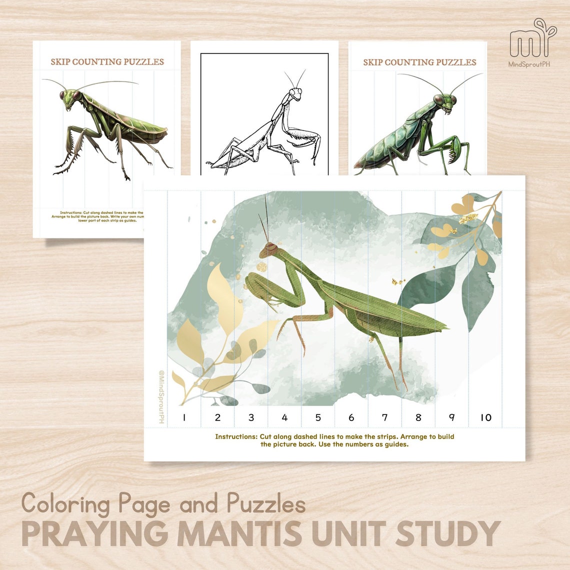 PRAYING MANTIS Unit Study Preschool Activity Life Cycle of Praying ...