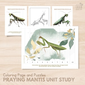 PRAYING MANTIS Unit Study Preschool Activity Life Cycle of Praying ...