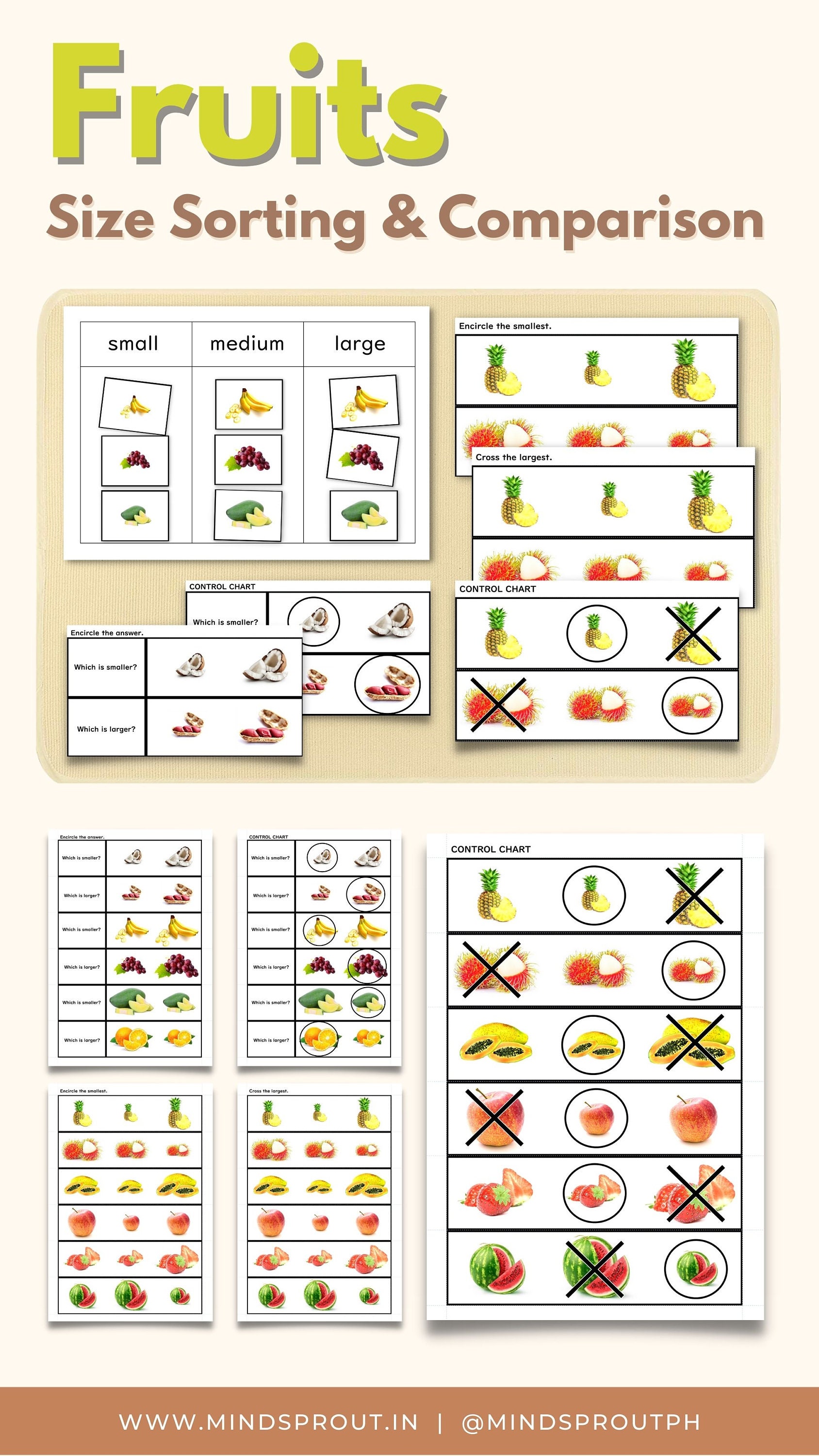 Comparing Small Medium Large Size Sorting Fruits Montessori Sensorial ...