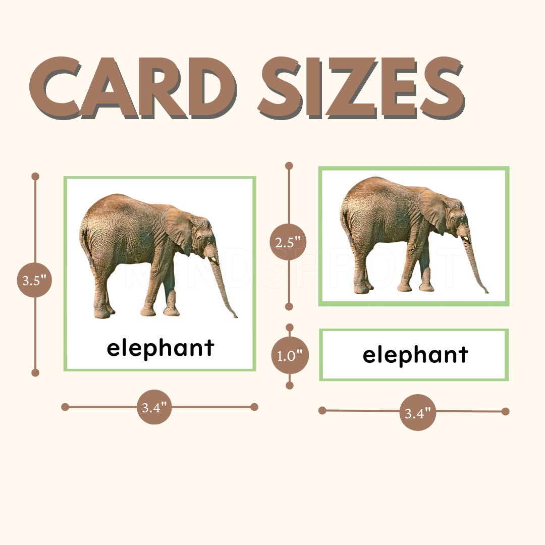 WILD ANIMALS Montessori Nomenclature 3 Part Card Silhouette Shadow ...