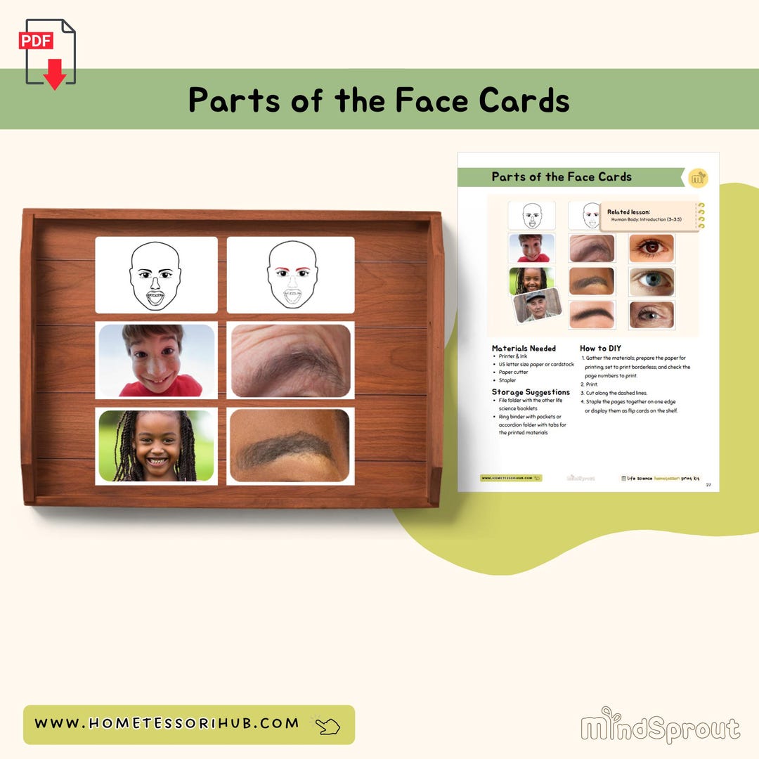 Parts of the Face Cards Zoology Montessori Printable Material - Etsy