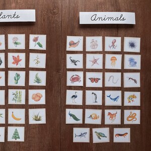 PLANT and ANIMAL Sorting Cards Game Montessori Activity Preschool ...