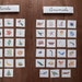 PLANT and ANIMAL Sorting Cards Game Montessori Activity Preschool ...