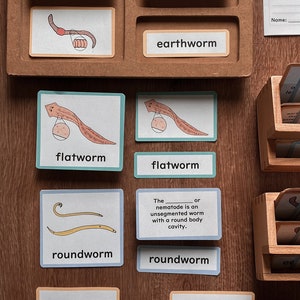 WORMS Zoology Unit Study Parts of Earthworm Flatworm Roundworm ...