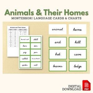 Animal Vocabulary Cards Charts CURSIVE Montessori Language Material ...