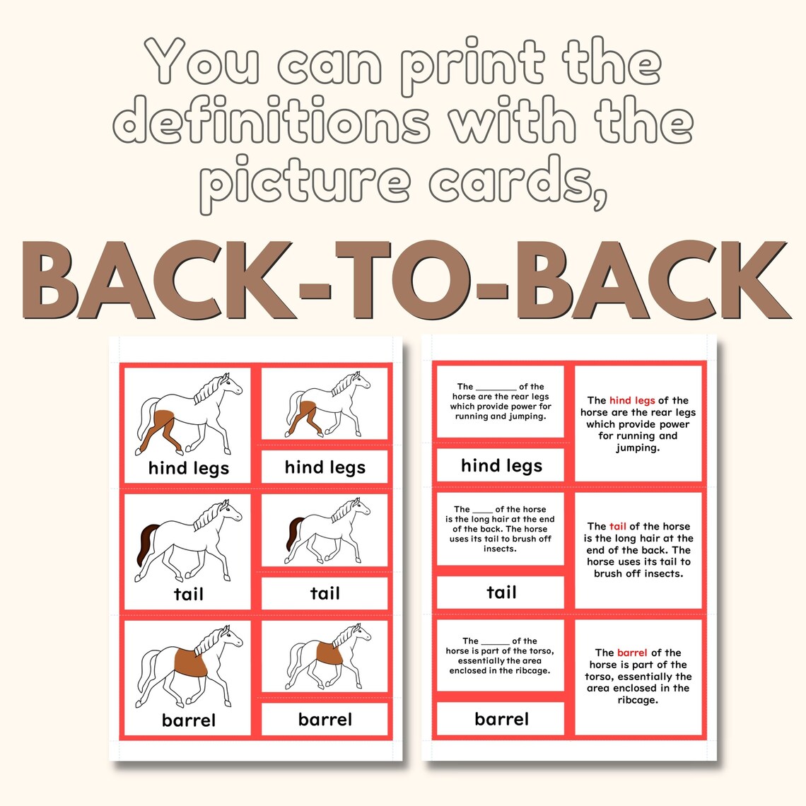 MAMMALS Zoology Unit Study Parts of Horse Montessori Nomenclature 5 ...