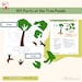 DIY Parts of the Tree Puzzle Botany Montessori Printable Material - Etsy
